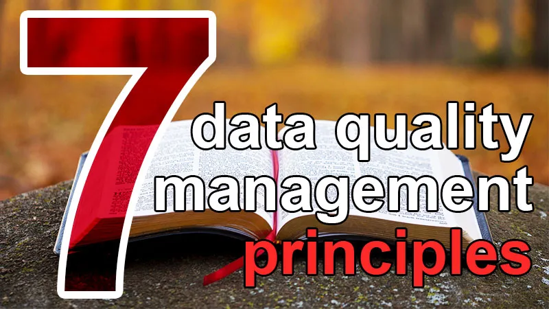 7 Principles of Data Quality Management - data.org