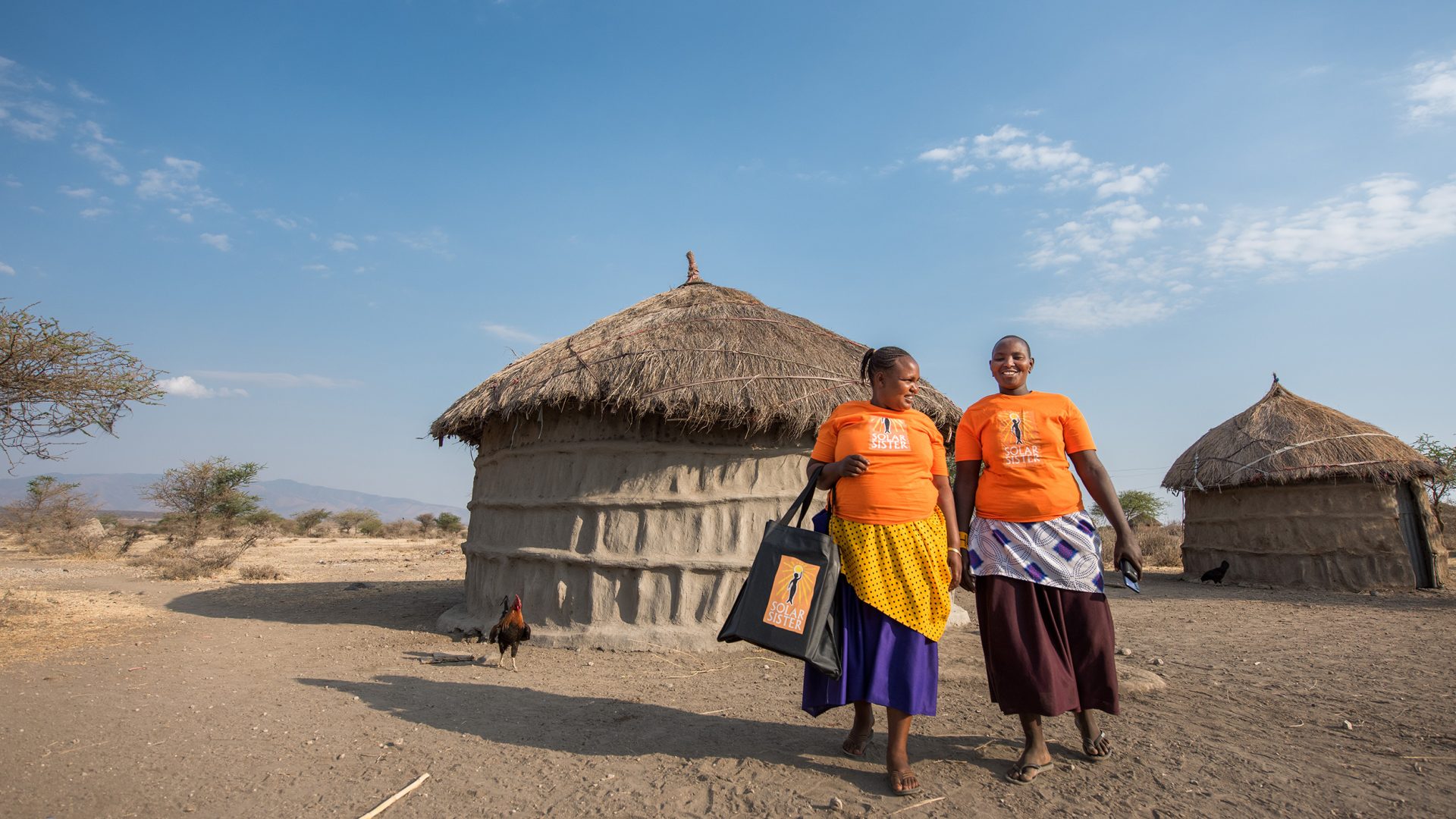 Solar Sister - Empowering Women Entrepreneurs with Data Science - data.org