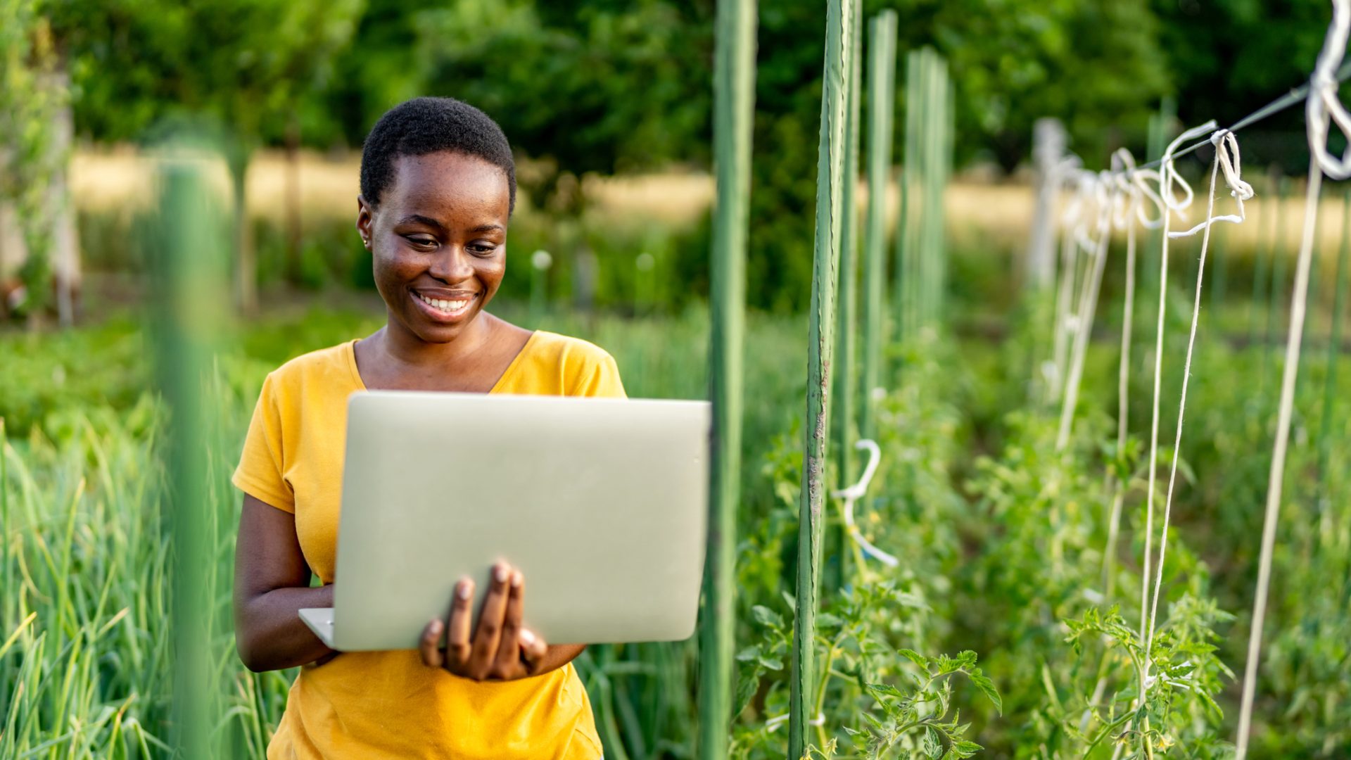 data.org and Mastercard Center for Inclusive Growth Launch "Artificial ...