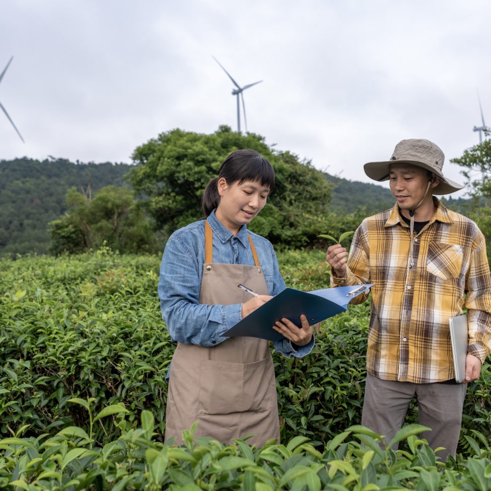 Climateverse: Making the Case for Climate Data Analytics - data.org