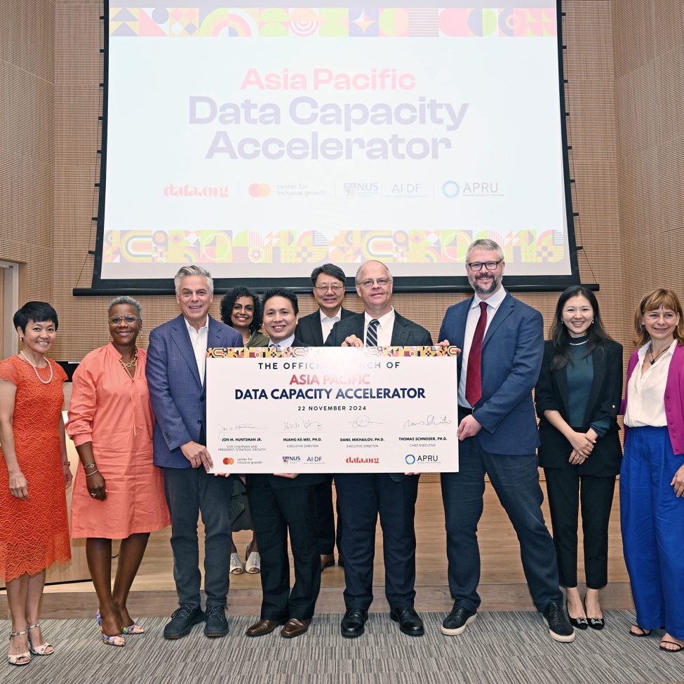 Data Capacity Accelerators - data.org